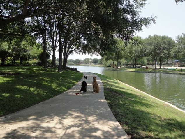 About Us – Bordernerd